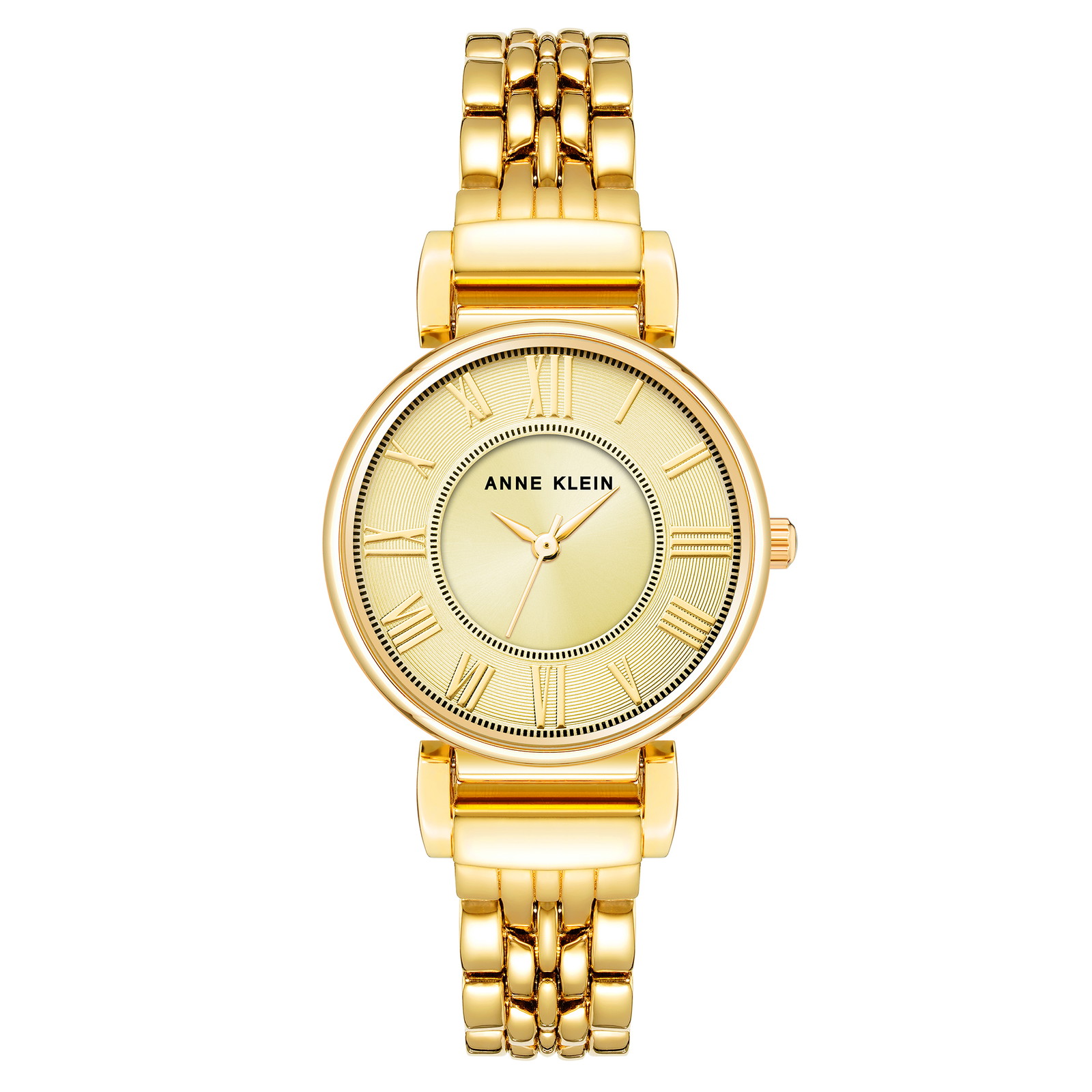 Anne Klein Pulkstenis W81547685 | GIVEN